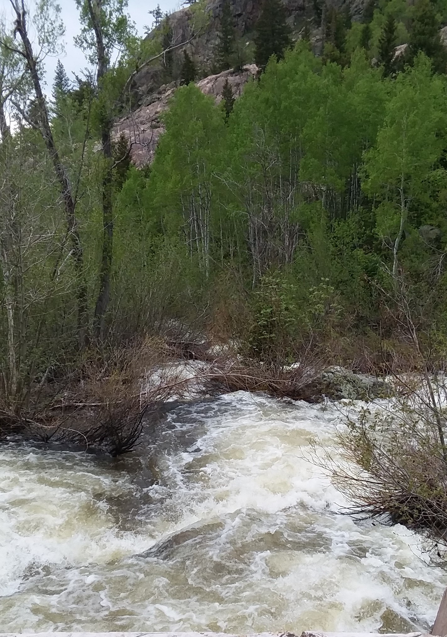 Baptize to Repentance | Renaissance Woman